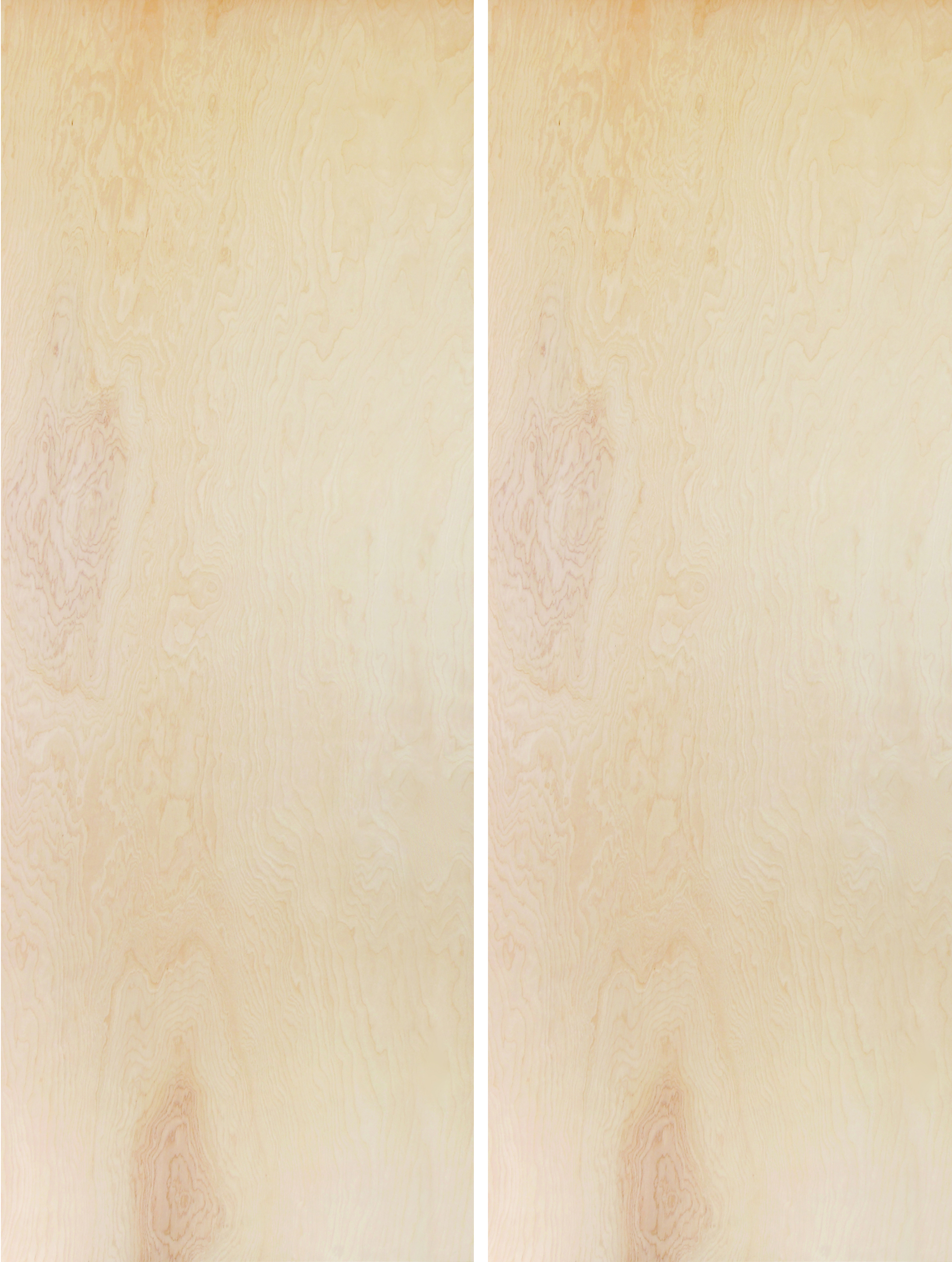 80" WG | Hollow Core Birch Flush Double Door
