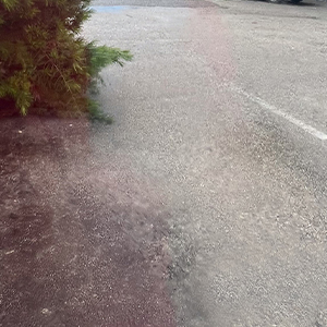 Solar Cool Bronze Glass: Reflective Solar Solution